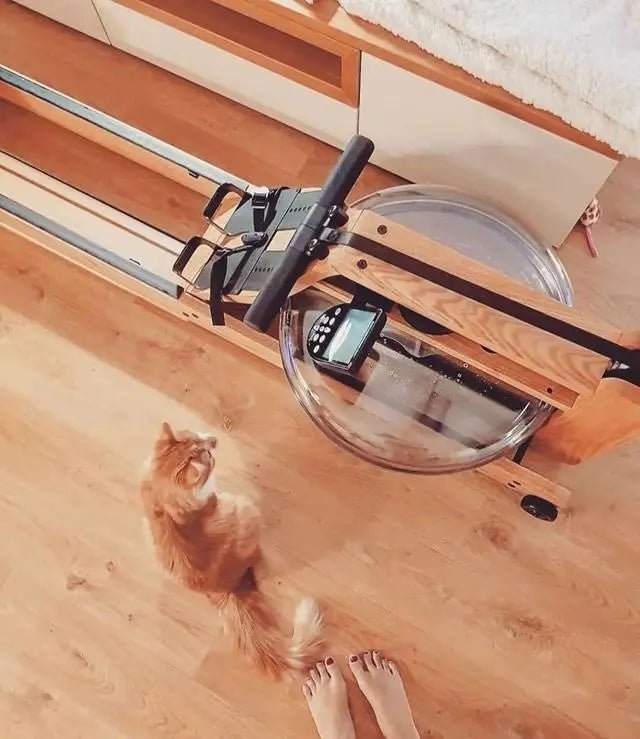 Beginner's Guide: How to Use a Water Rowing Machine Effectively